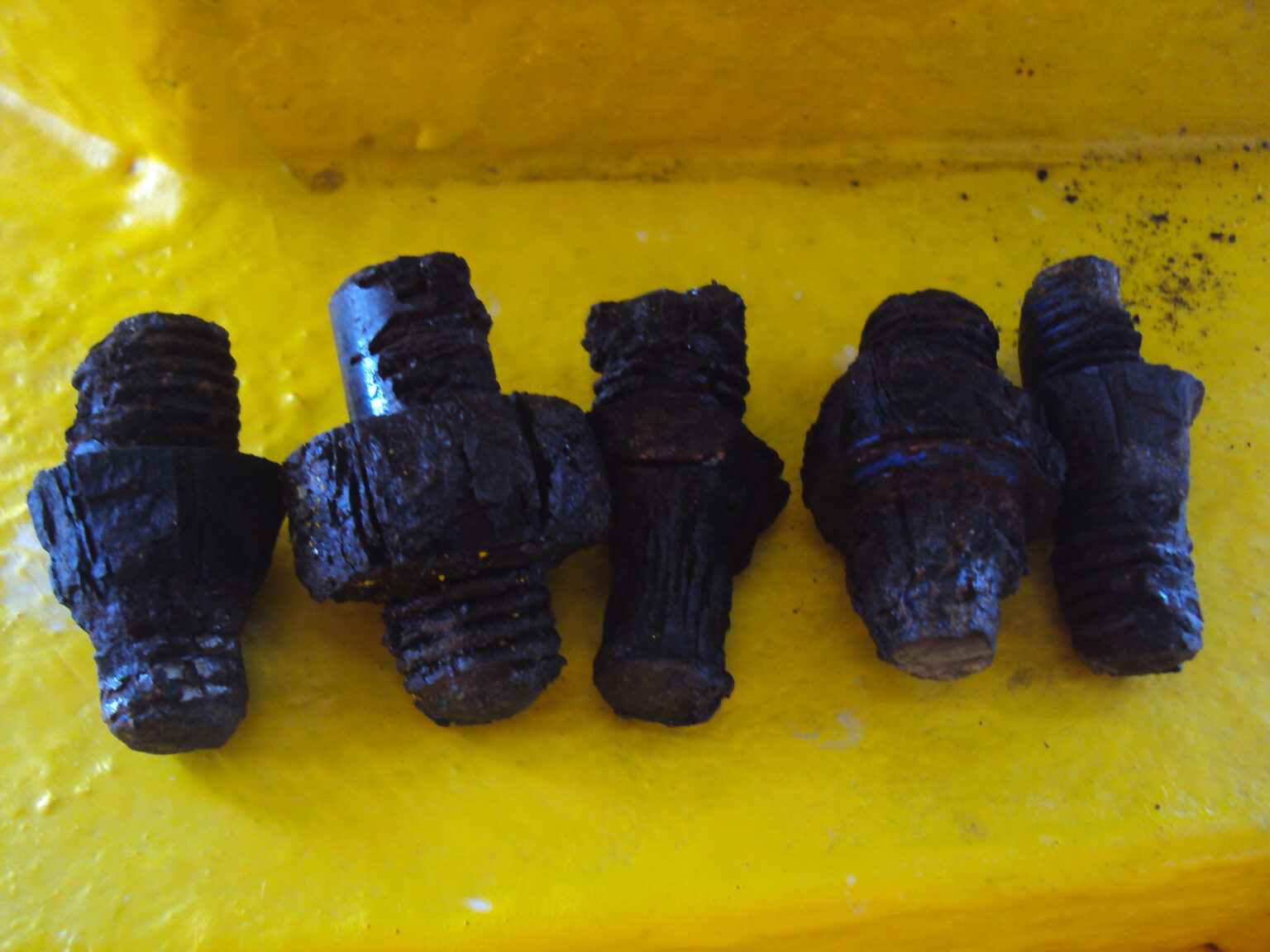 What Is Meaning Of Hot Bolting at Hayley Pell blog