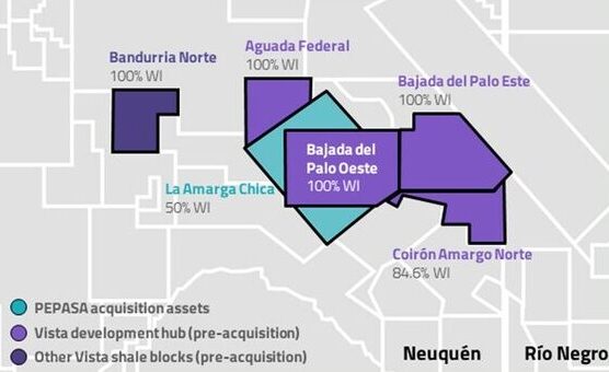 Vista announces acquisition of Petronas Argentina - Drilling Contractor