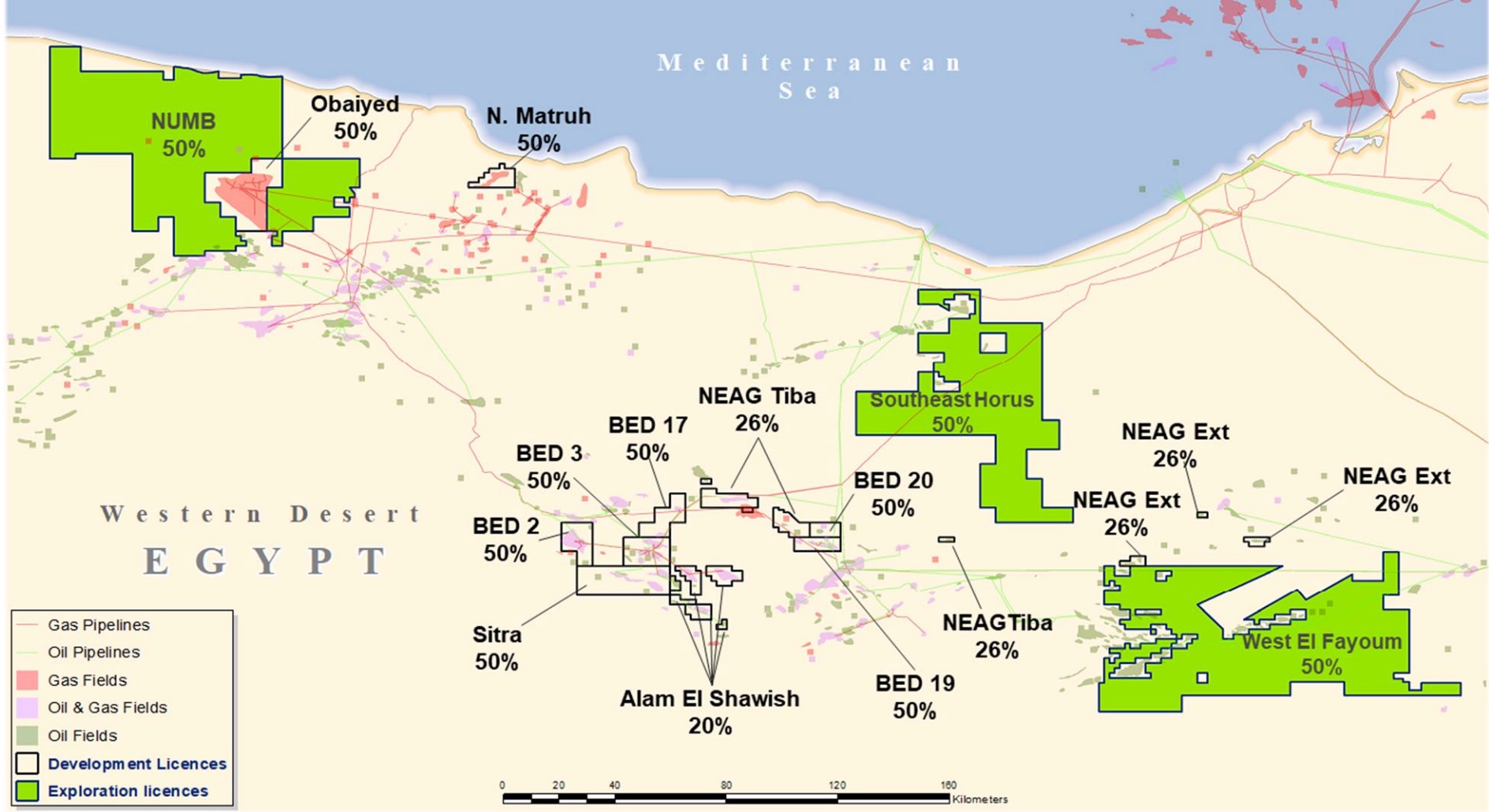 Capricorn sees positive exploration results in Egypt - Drilling Contractor