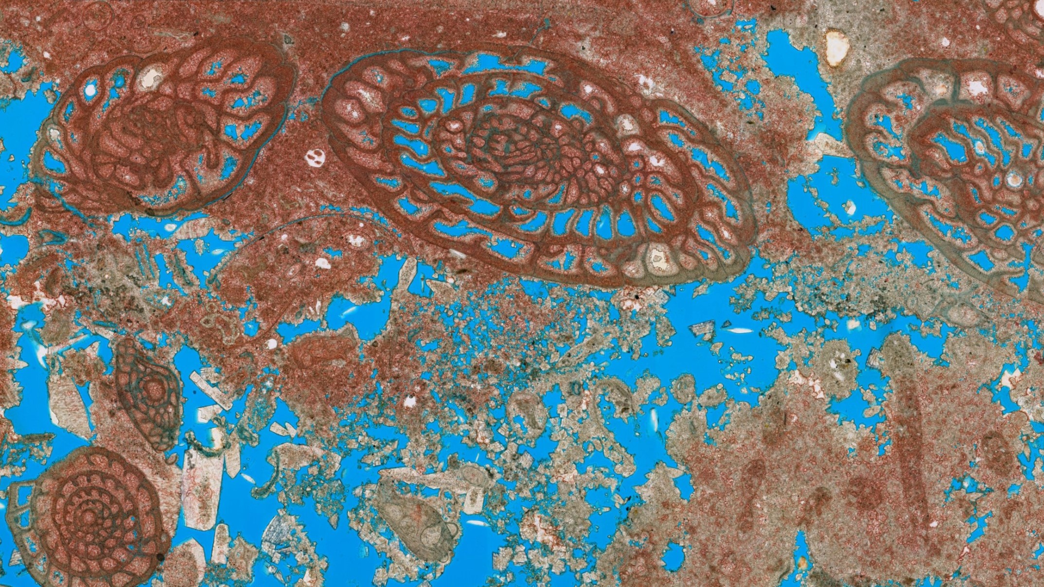 Norway awards 57 production licenses to 19 companies in APA 2025 round ...